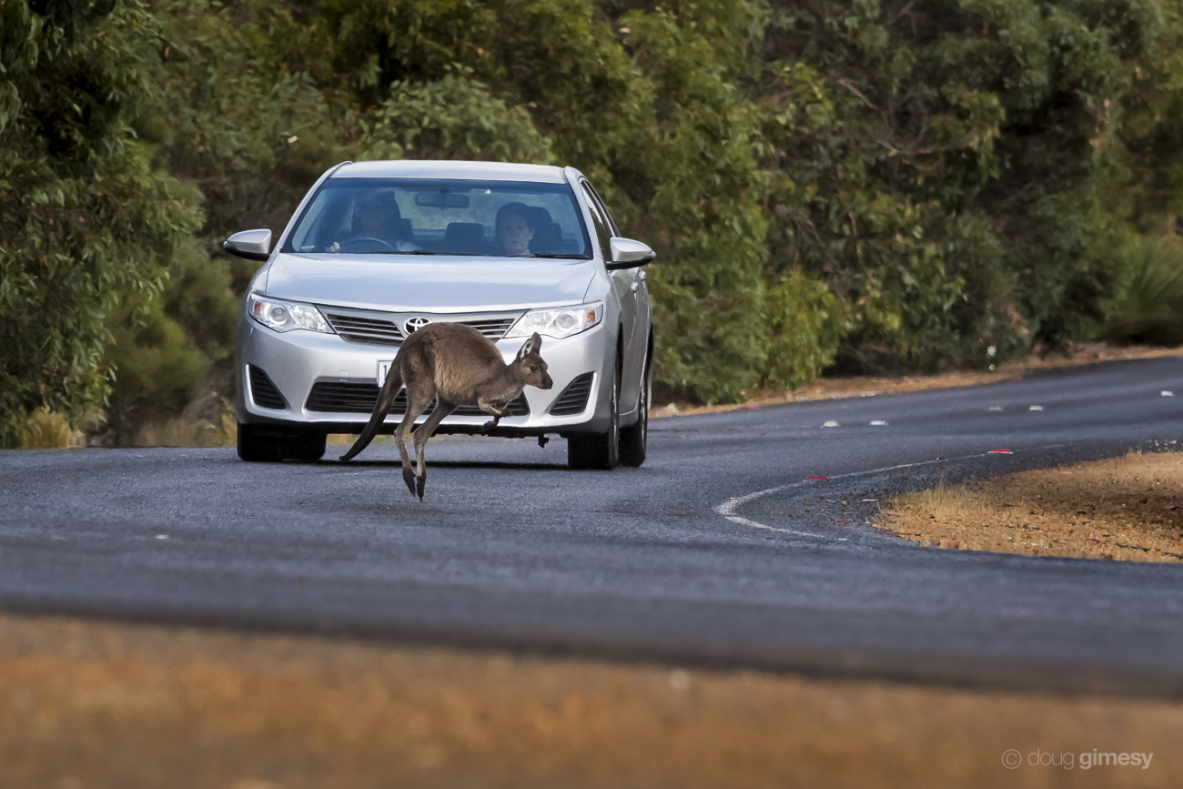Неочікувана проблема автономних машин - Autogid.pro